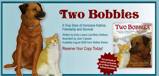 Third Grade Galore: Informational Text - Sequencing and Freebie