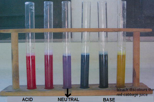 Laboratory Techniques : ACIDS AND BASES: RED CABBAGE INDICATOR