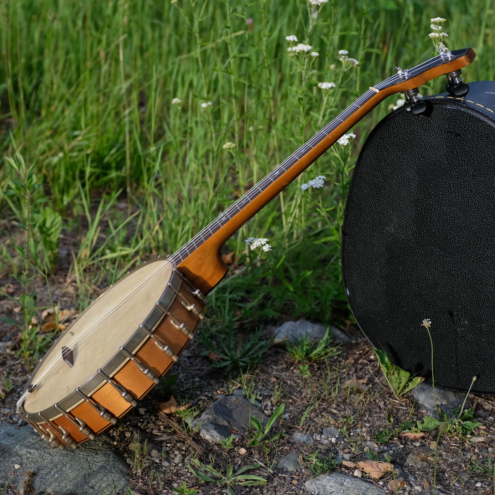 1920s Lyon & Healy American Conservatory Fretless (Modded) Tenor Banjo