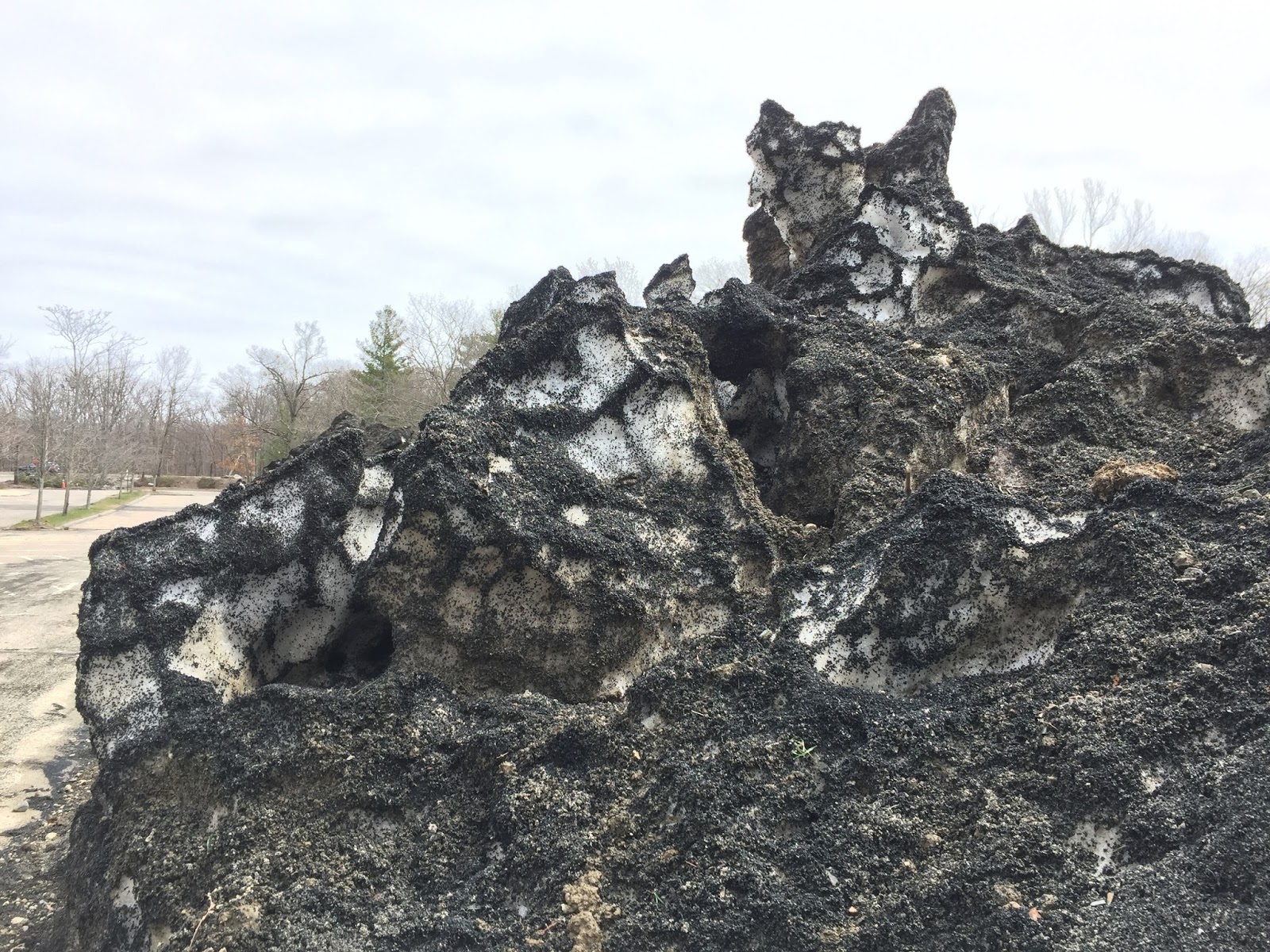 Climate change research in partnership with Thoreau: Giant Snow Mounds