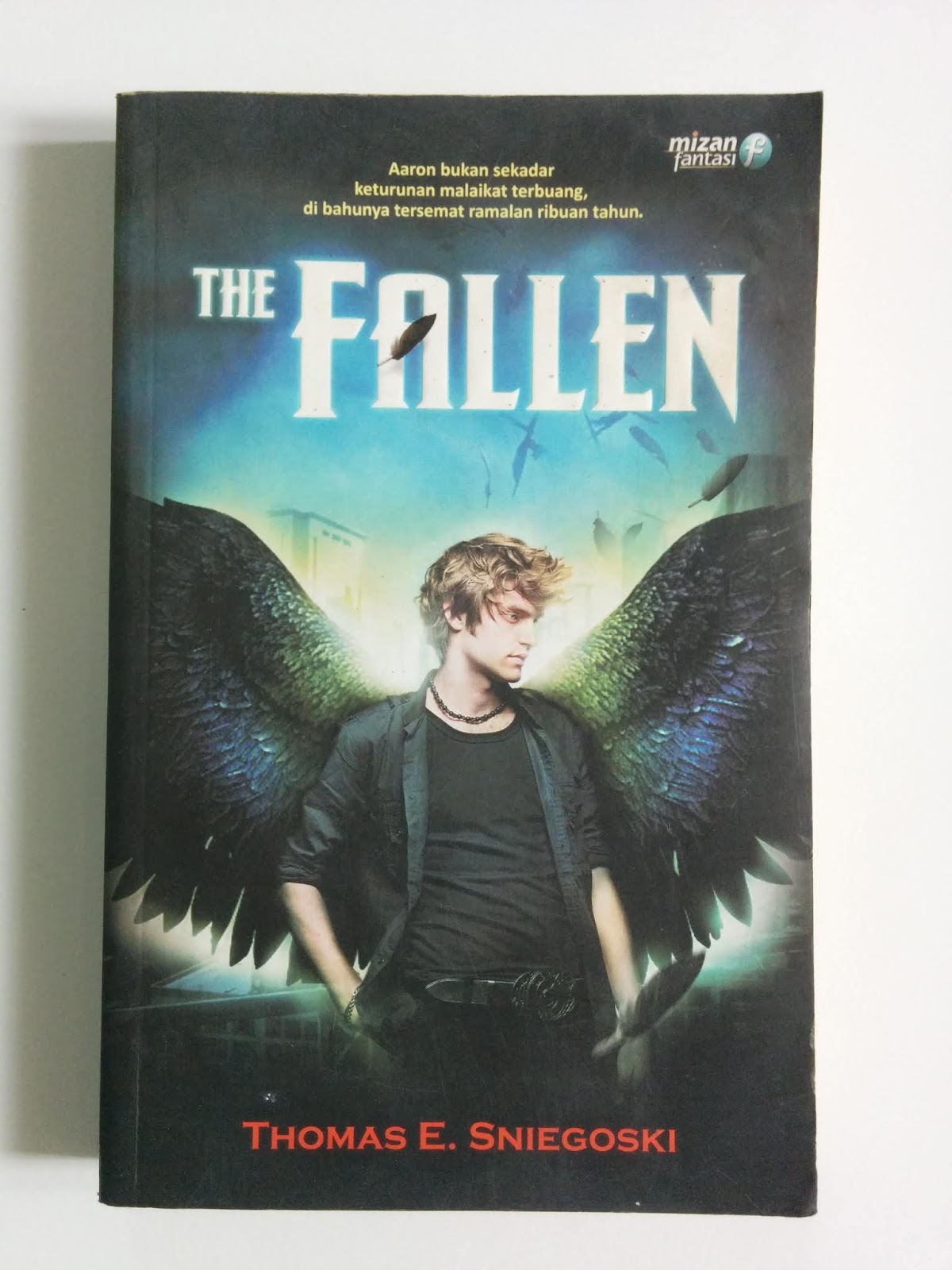 The Fallen Buku 1 (Thomas E. Sniegoski) | Aksiku Toko Buku Bekas Online