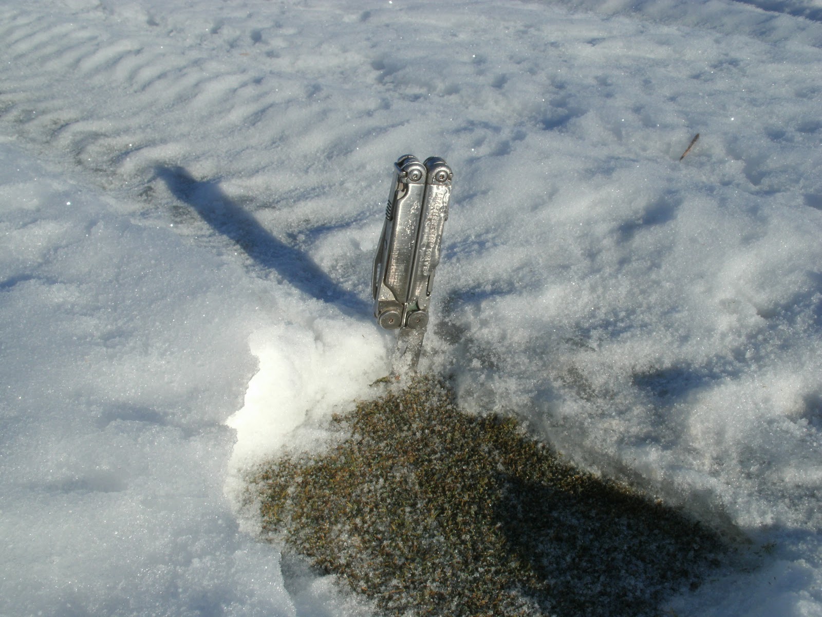 GFCC: Snowmobile Damage