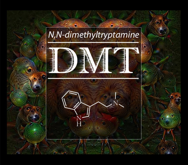 Reflections on the New Paradigm: Reflections: The DMT Experience ...