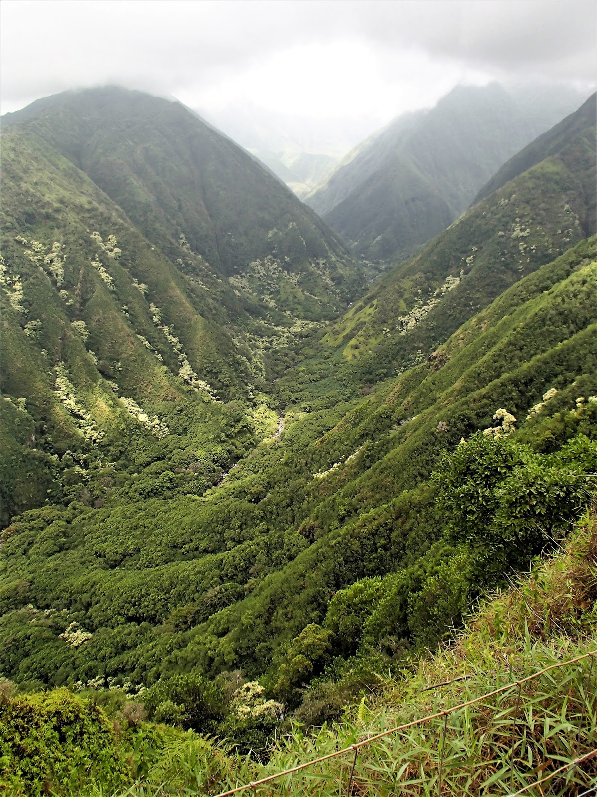 Best Destinations should to visiting in Bangkok Thailand: Maui - Other ...