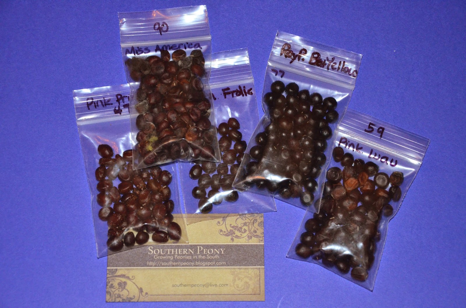 Southern Peony: 2014 Peony Seeds for APS Seed Distribution Program