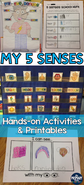 My 5 Senses - The Primary Post