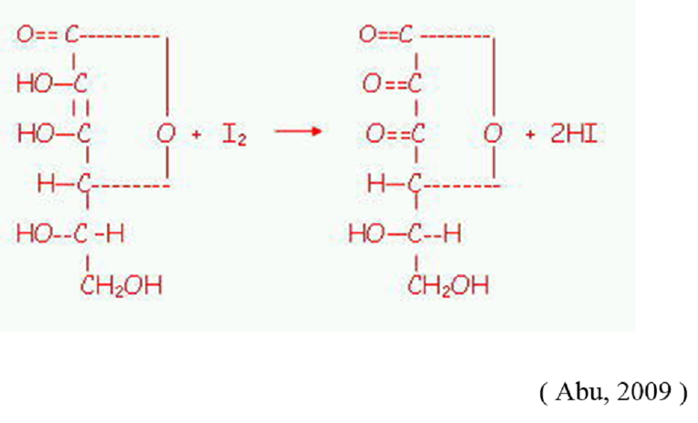 PERCOBAAN II - Enzim ( Praktikum Biokimia ) - Blog Najih