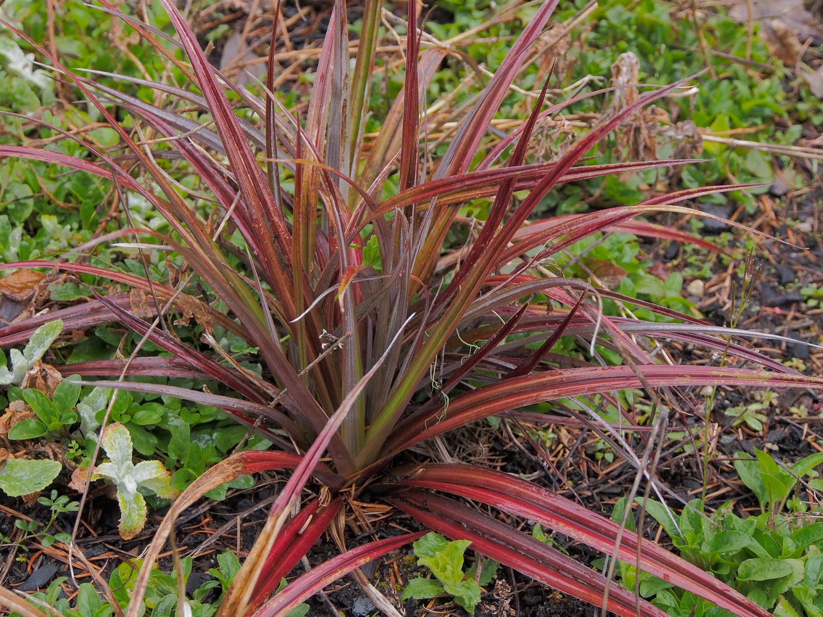 Post-Winter Evaluations