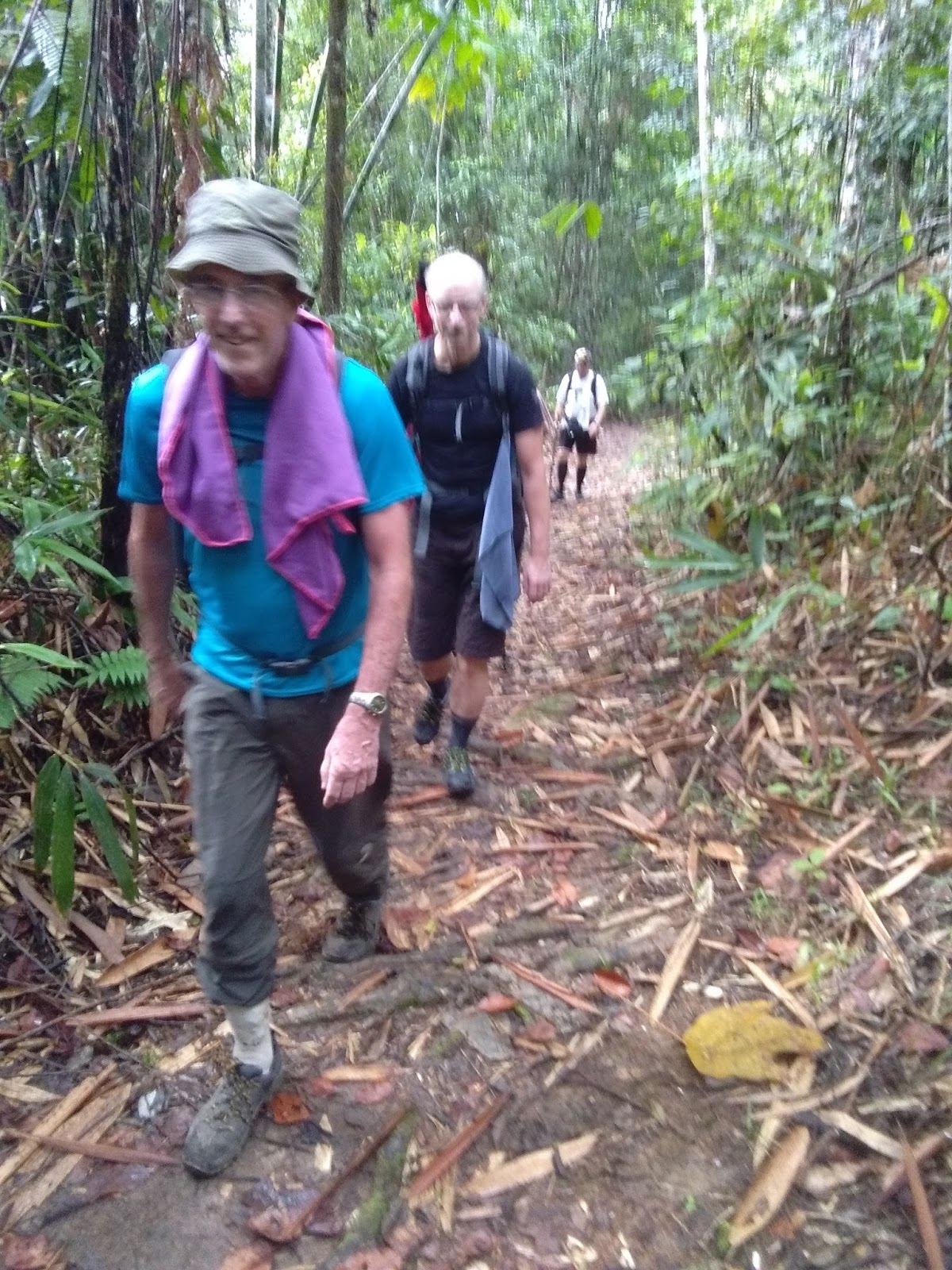 MT TRUSMADI VIA SINUA: PENDAKIAN GUNUNG TRUSMADI