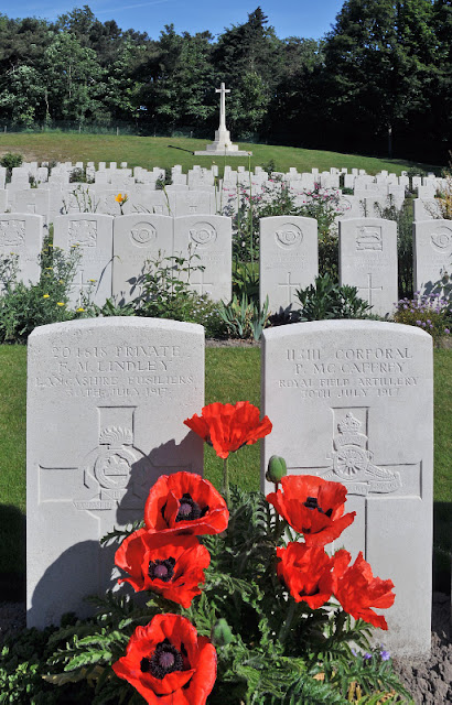 Down Dusty Roads: IN FLANDERS FIELDS