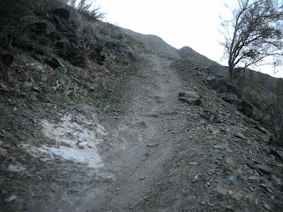 Native Arizonan: Bell Pass Trail in the McDowell Mountain Sonoran Preserve