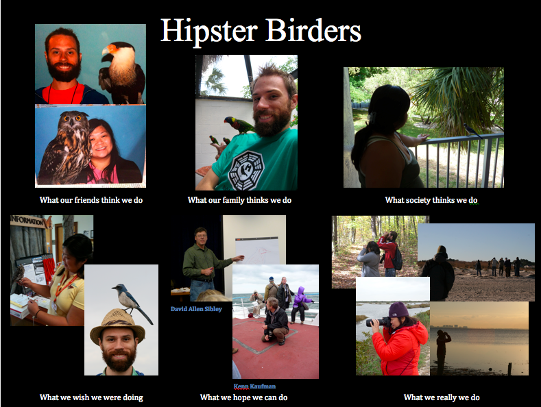 Hipster Birders: Jumping on the Internet Meme Bandwagon