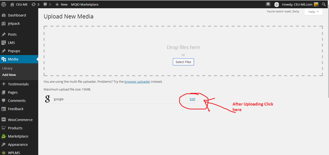 Hasib Tutorial: How to get url/link of images after uploading in wordpress