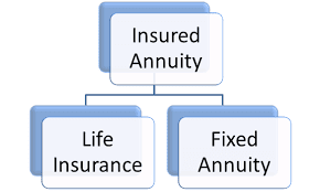 What is an Annuity? - Quick Insurance
