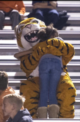Theresa Taylor's Education Blog: What I Learned from being the Mascot
