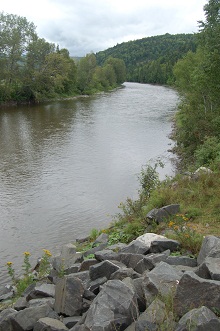 Marion au Canada: Tabarnouche y'a d'la brume!