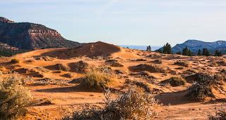 Walking Arizona: Coral Pink Sand Dunes