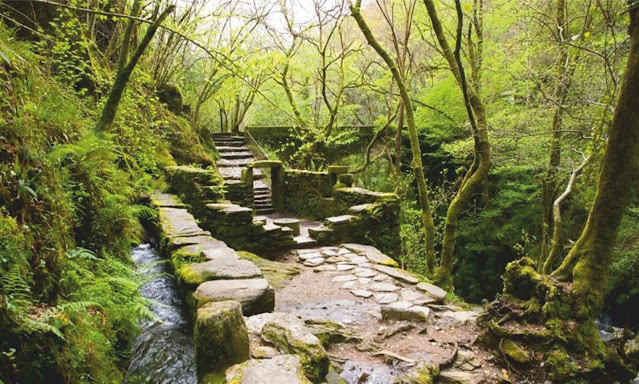 NATURALEZA. Parque Natural Fragas do Eume (a Coruña) | La Crónica del ...