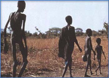 Tekoha: Shaka y Dres: Cambio Climatico (Meridiano 89)