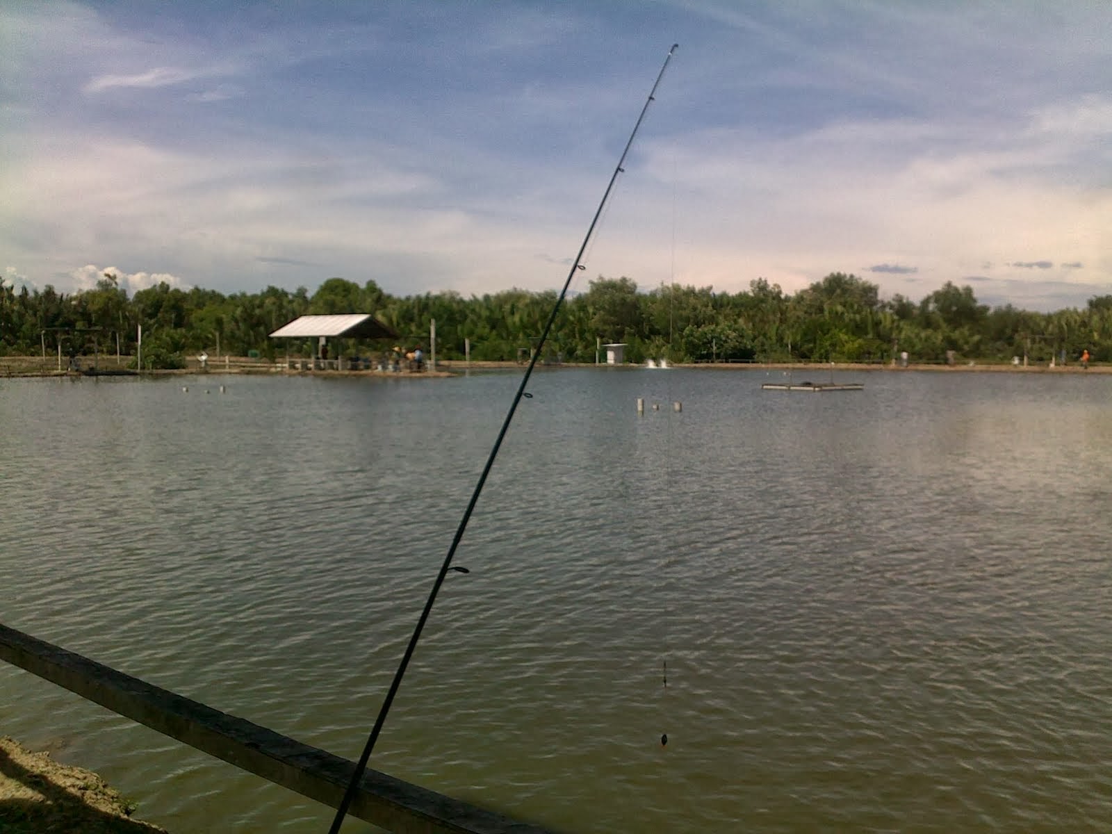 Jom .......Mancing Ler!: Tips Masa Terbaik Memancing di Kolam