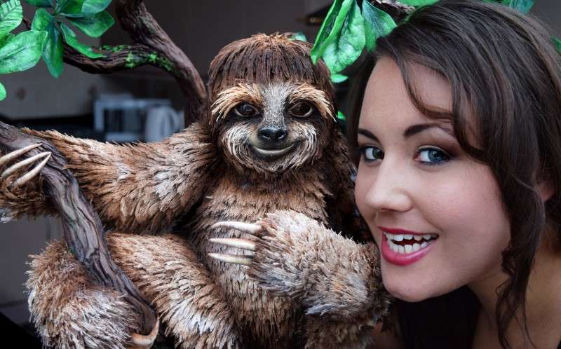 GEOGRAFI LINGKUNGAN: SLOTH : KUKANG PEMALAS YANG BERGERAK LAMBAN DARI ...