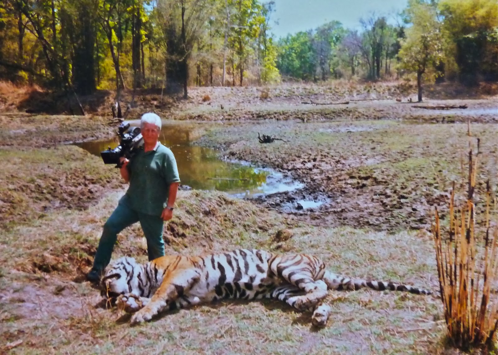 HUGH MILES - WILDLIFE ADVENTURES: November 2013