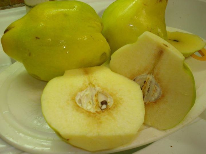 Nour Cuisine: La confiture du coings "Safargel"