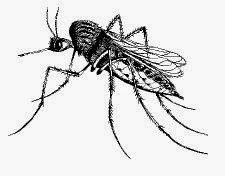 Au pays des Maringouins: Louise Henault