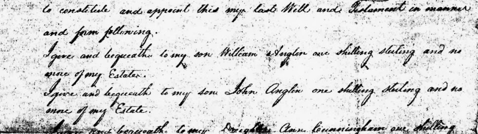 They Came to the Mountains: Adrian Anglin's Will