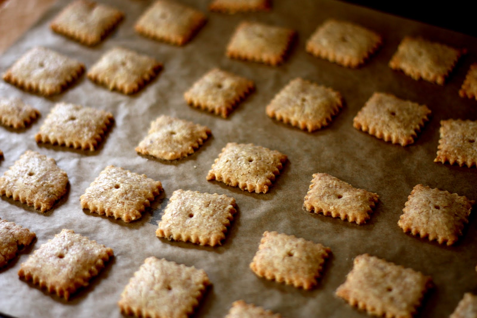 ben and birdy: Cheese Crackers