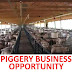 How to Start a Backyard Piggery Business | Magnegosyo Tayo