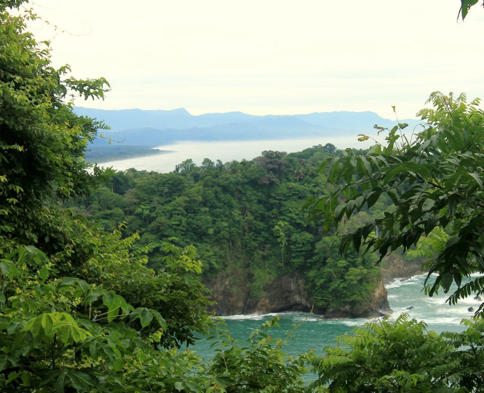 ThriftingWithCake: Family Pyramid. Costa Rica via Kiki. Teanation ART.