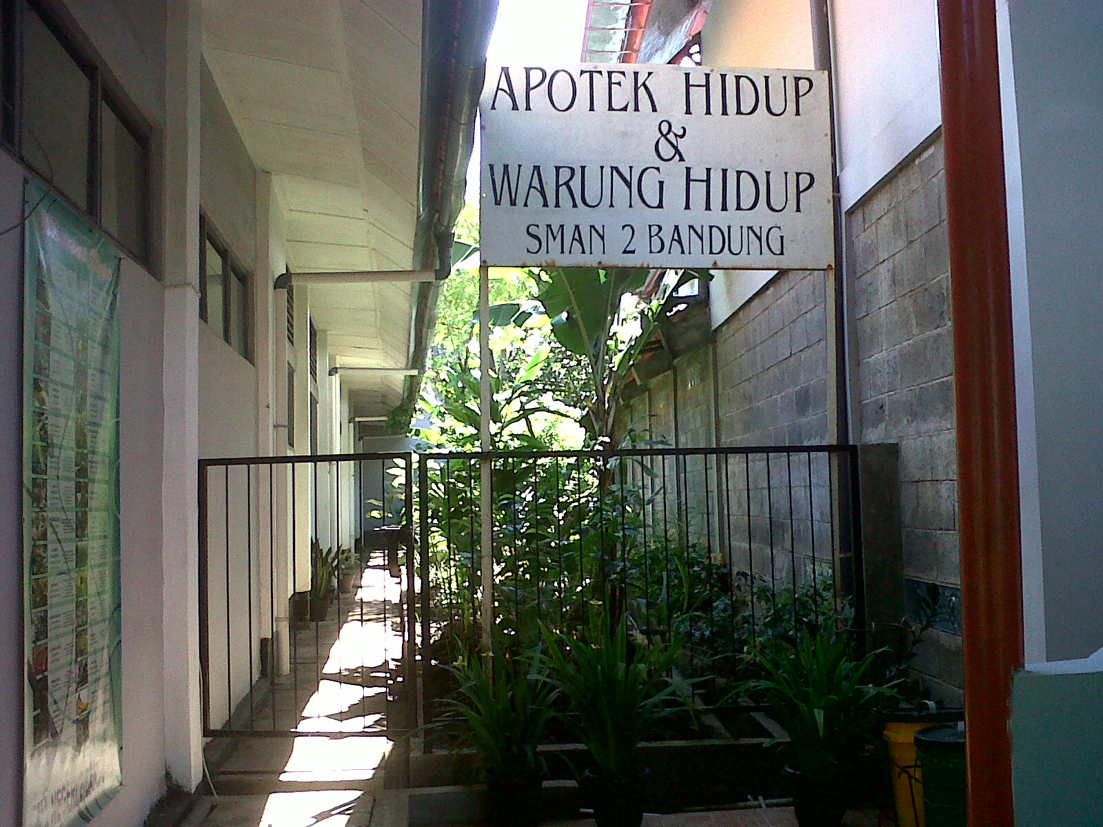 Sekolah Sehat SMAN 2 Bandung | ~ Pola Hidup Sehat