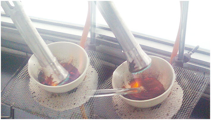 Análisis Inorgánico : Calcinación de una muestra