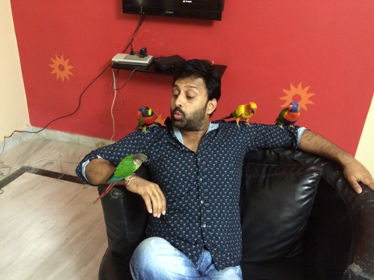 Anand Rama Raju ( Actor ) : Anand Ramraju