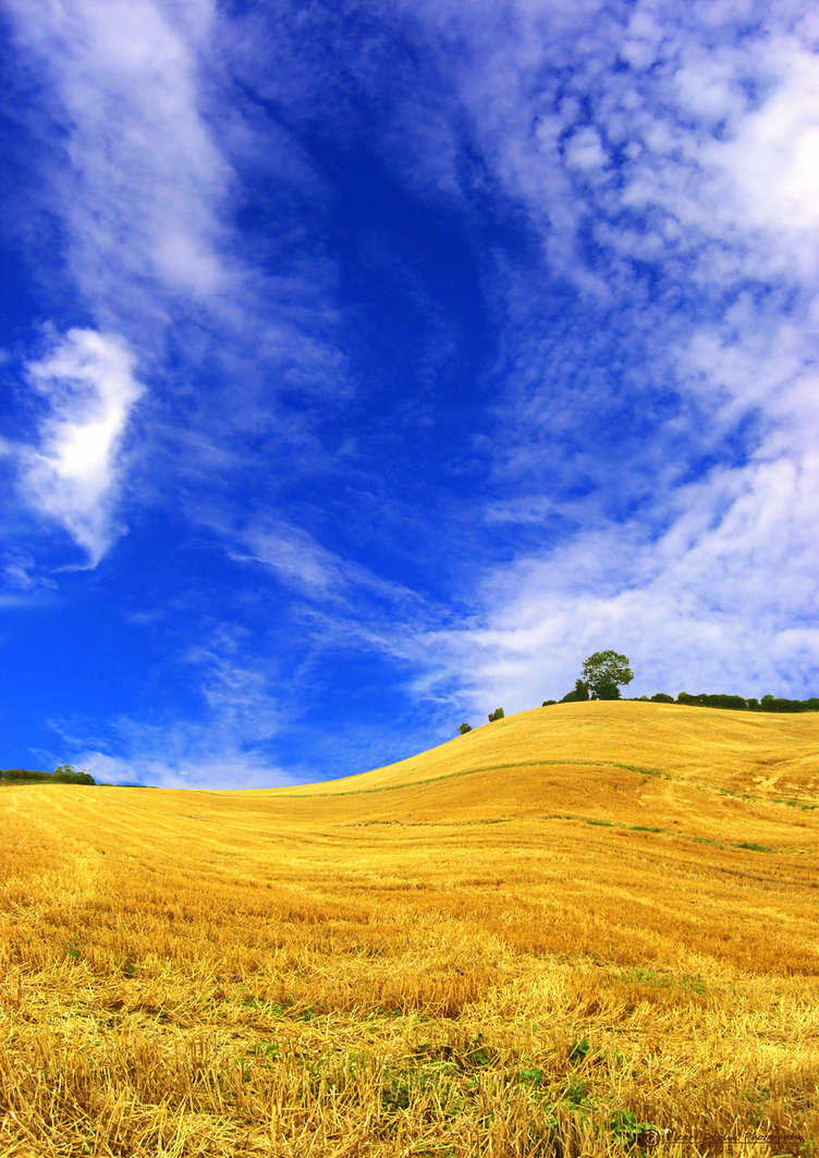 Imagini de Vara - Wallpaper Vara