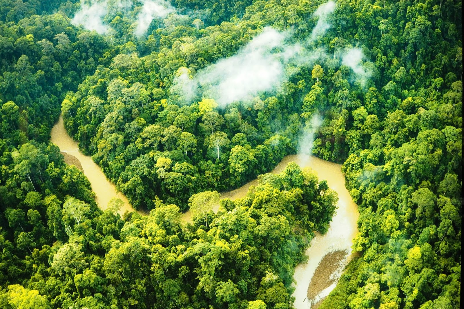 Kee Hua Chee Live!: CHI'EN LEE SHOWCASES HIS EXTRAORDINARY AND ACHINGLY ...