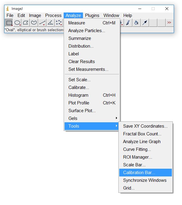 My imageJ: Calibration Bar สำหรับการแสดงแท่งค่า RGB ในภาพ