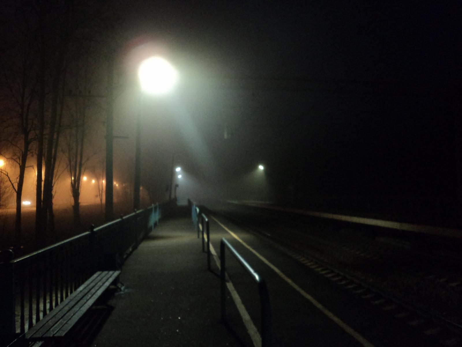 Misanthrope's Thoughts: Night and fog