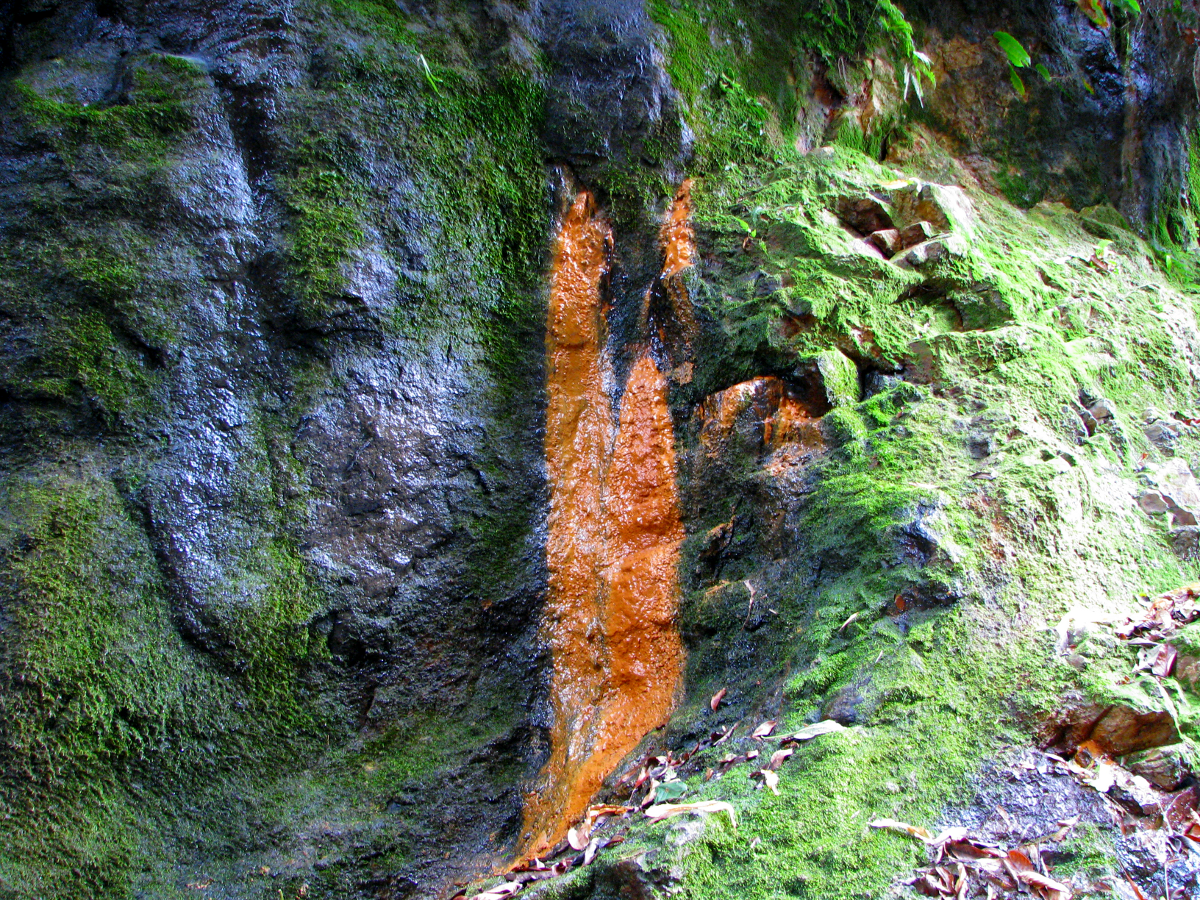 Orange Spring at Rio Viejo, Puriscal