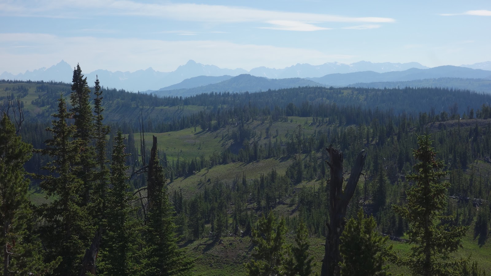 Across the Wilderness: Continental Divide Trail: Togwotee Pass ...