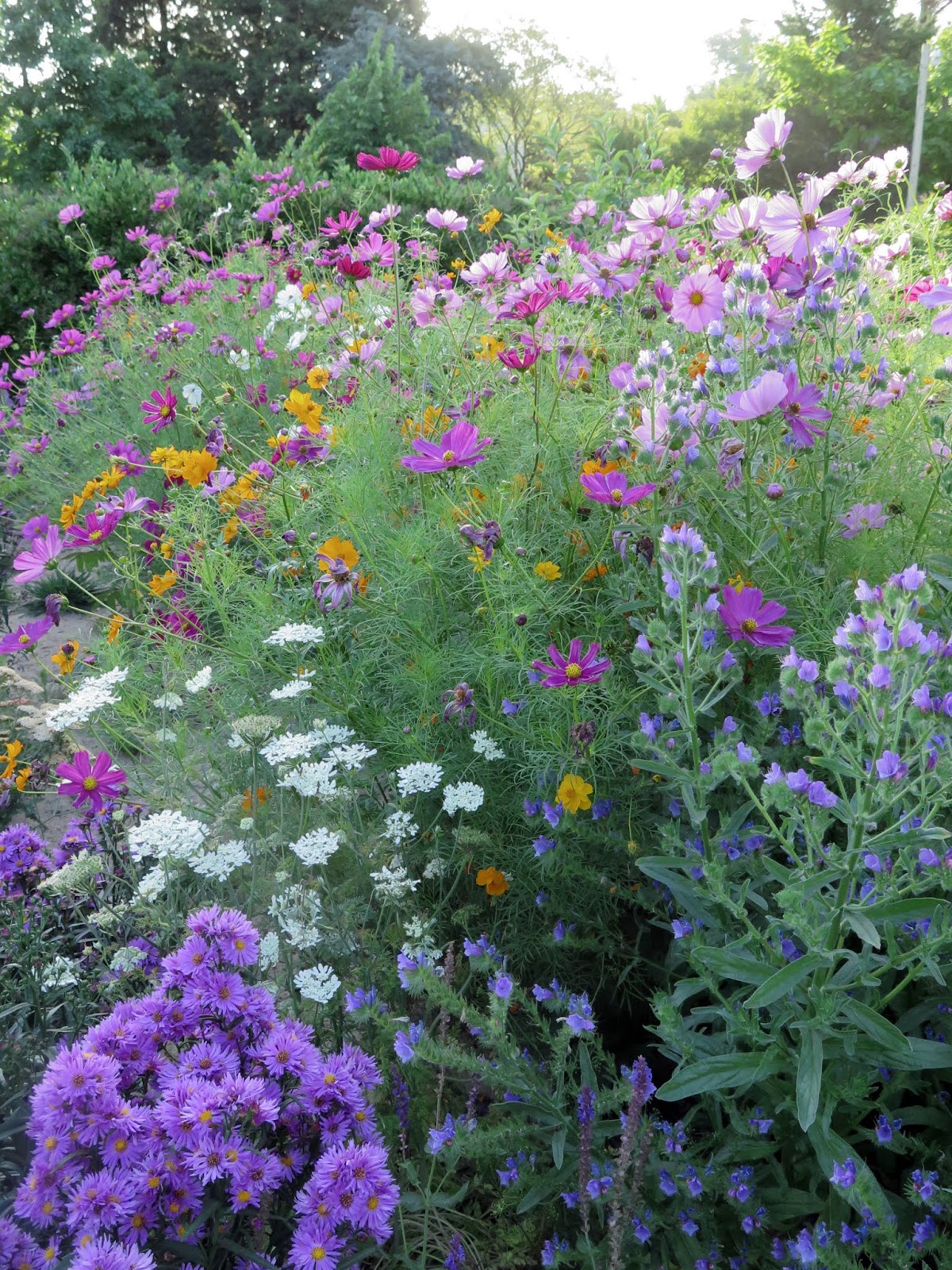 En el jardin: Praderas: un nuevo aprendizaje.