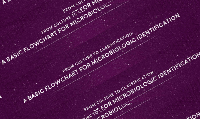 A Basic Flowchart For Microbiologic Identification #Infographic ...