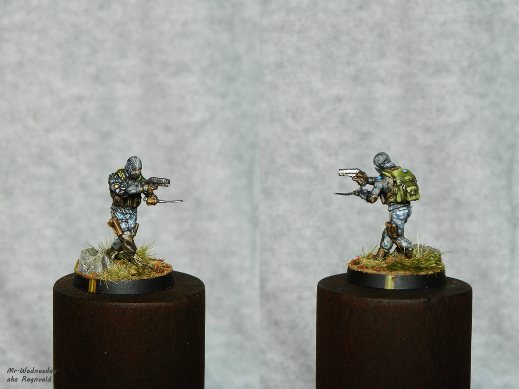 Ancient Plot: Caledonian Highlander Army