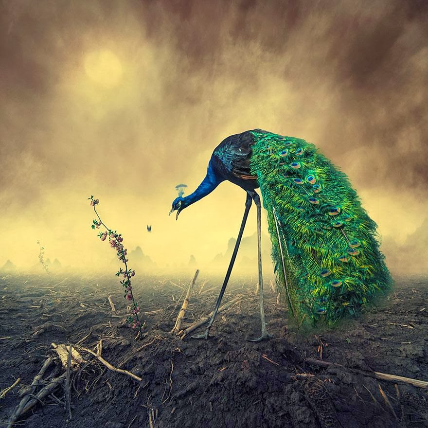 Fundelia: Caras Lonut Enchanting Surreal Photography