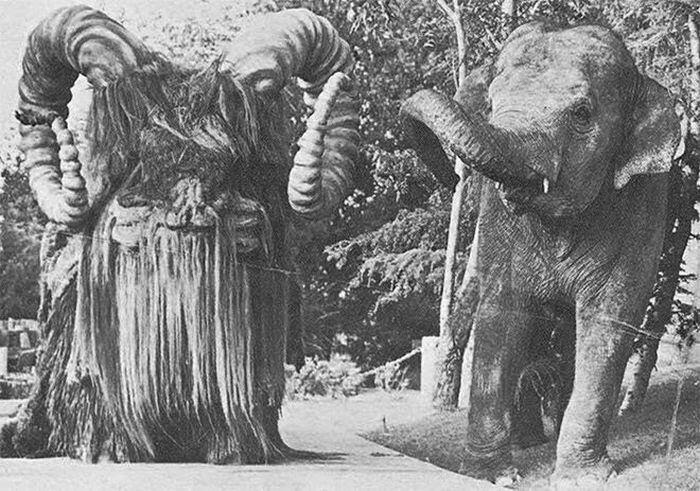 Ink & Snow: Bantha Fodder