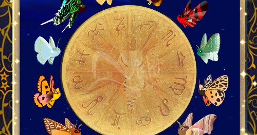 A Flutter Starlight Journey: Zodiac Moths Sneak Peek (SPOILER ALERT!!!)