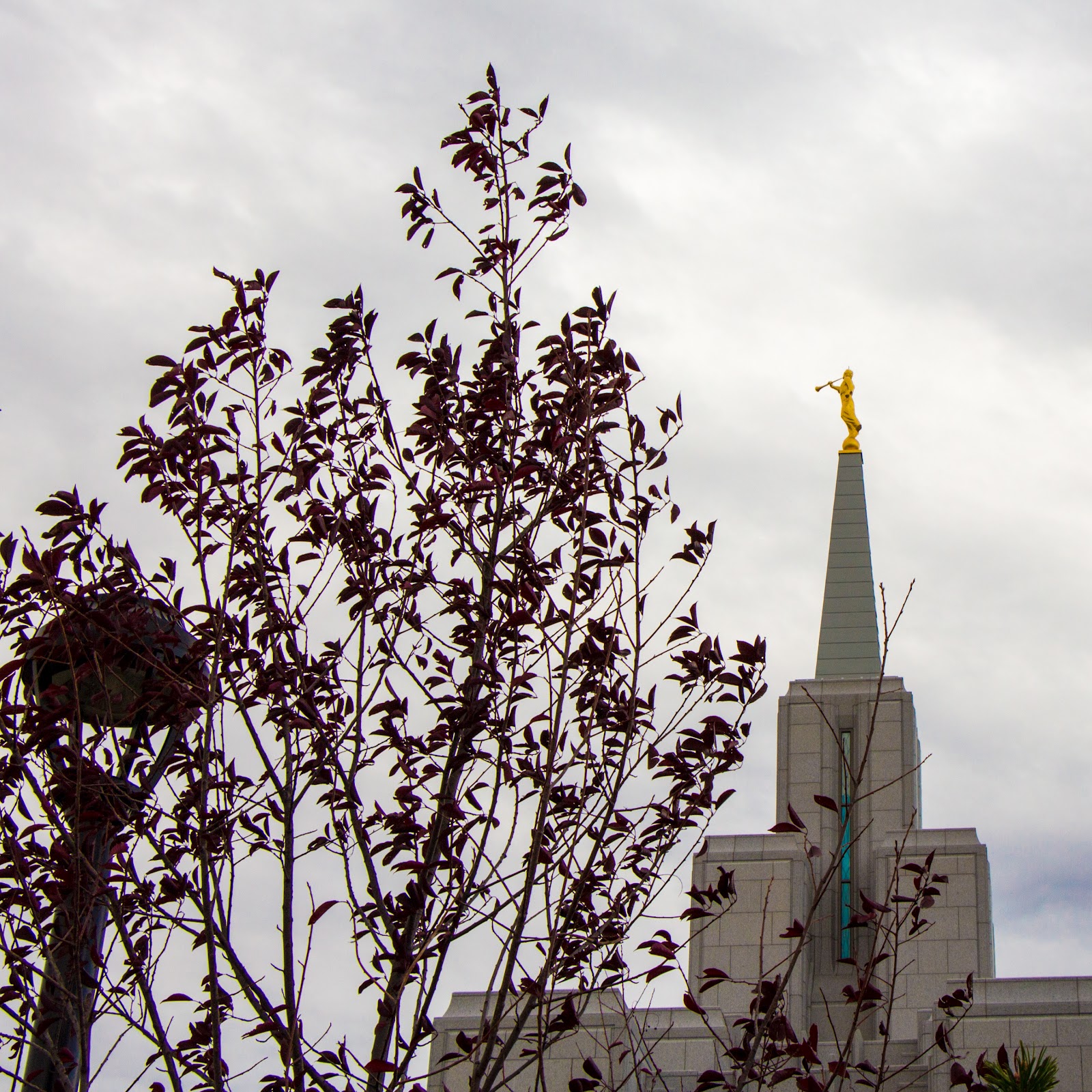 Larsen Lunacy: Calgary, Alberta LDS Temple Open House