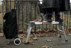 TERMINATOR 24: TERMINATOR 24