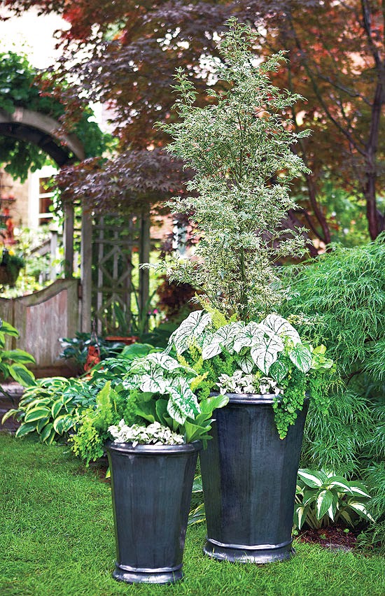 HomeFlowers Attic: Textured Green Garden Planters